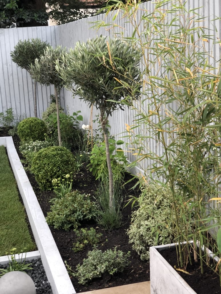 Contemporary Back Garden in Wembley - Designs 4 Gardens