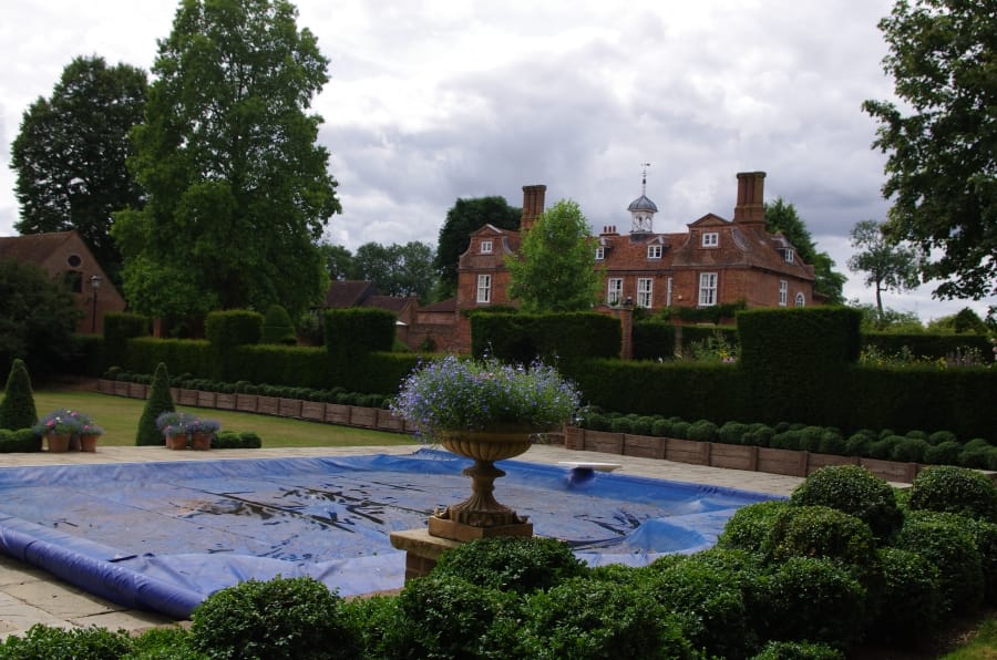 Box Hedge - Designs 4 Gardens