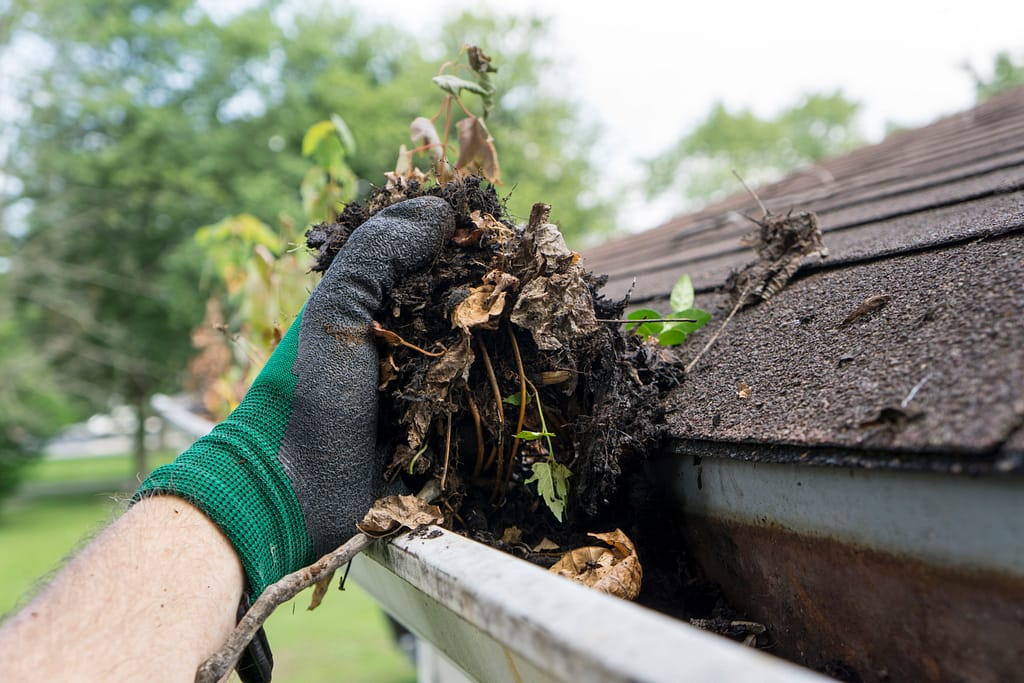 Essential Gutter Maintenance Services in Surrey - Complete External ...