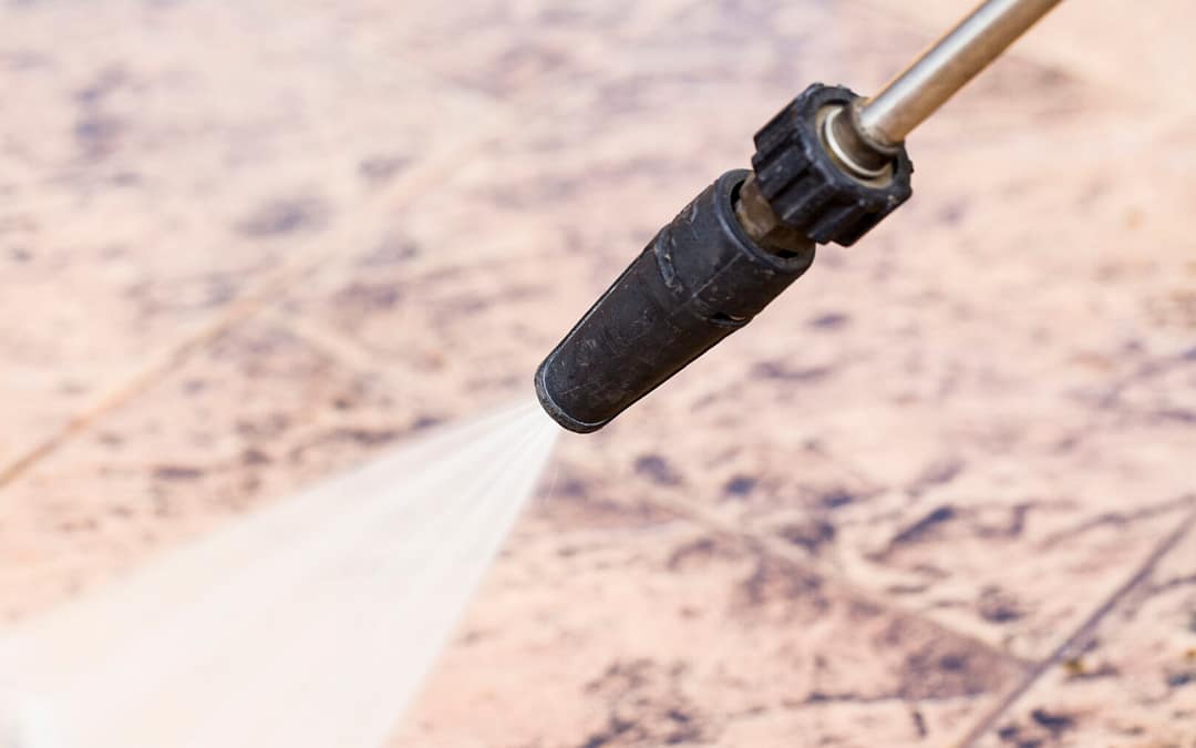 The Hidden Dangers of Lichen and Why You Should Remove It - Marsh ...