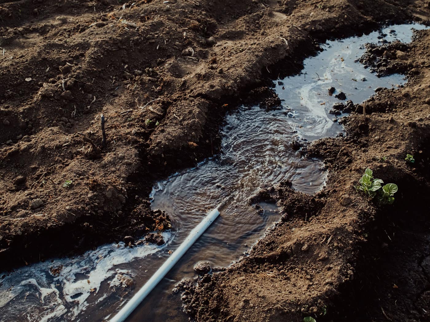 Protecting Our Precious Resource: The Importance of Groundwater ...