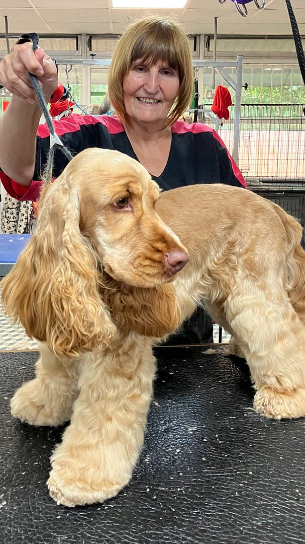 Services - Laurie's Dog Grooming